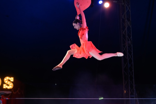 Zippos Circus
