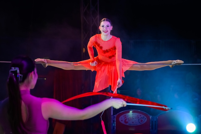 Zippos Circus